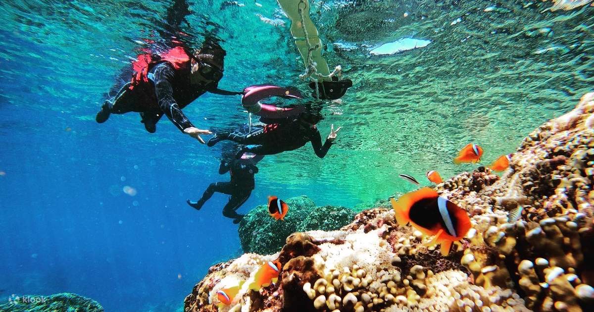 Trải nghiệm lặn với ống thở ở Đảo Orchid (bao gồm chụp ảnh GoPro) - Klook Việt Nam